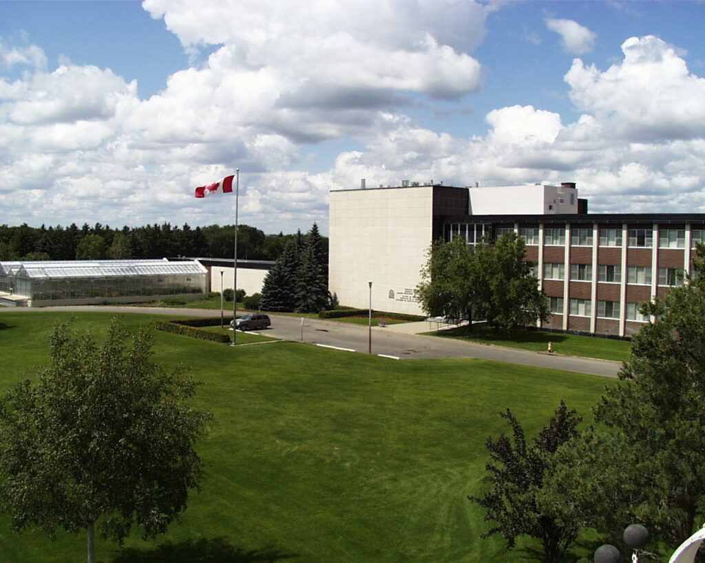 RCMP laid charges against federal employee in Swift Current, following ...