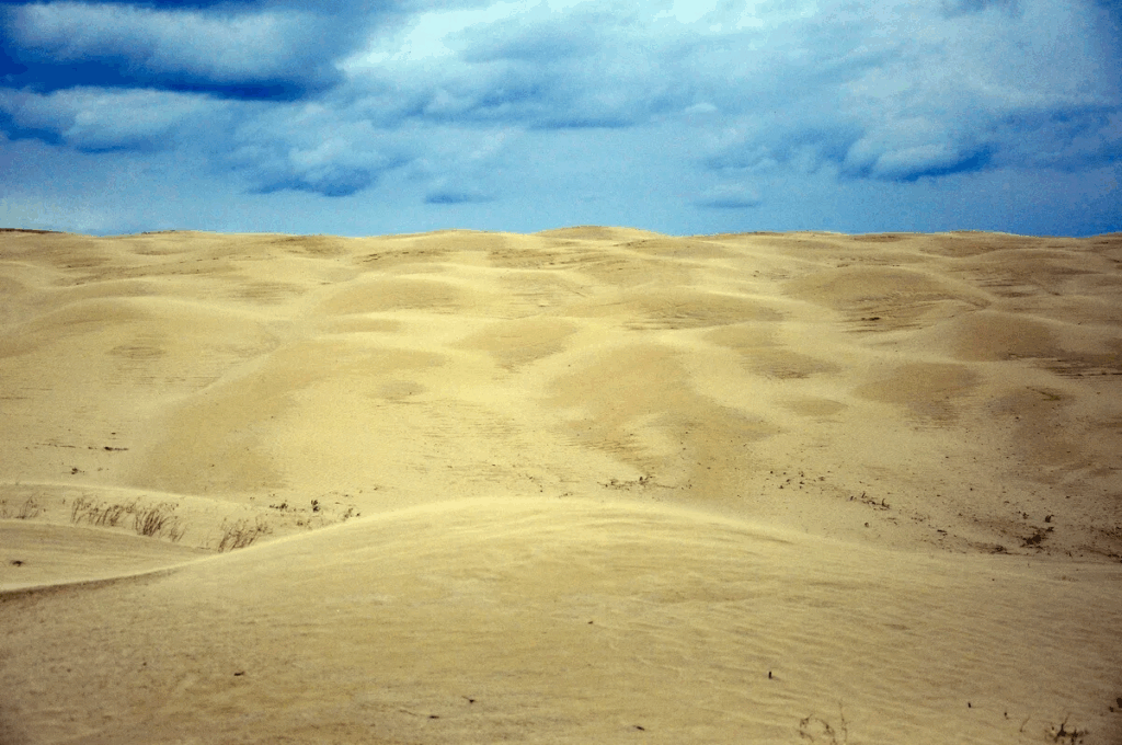 Hidden Among Prairie Grass: Saskatchewan’s Great Sandhills Will Surprise You › Prairie Post